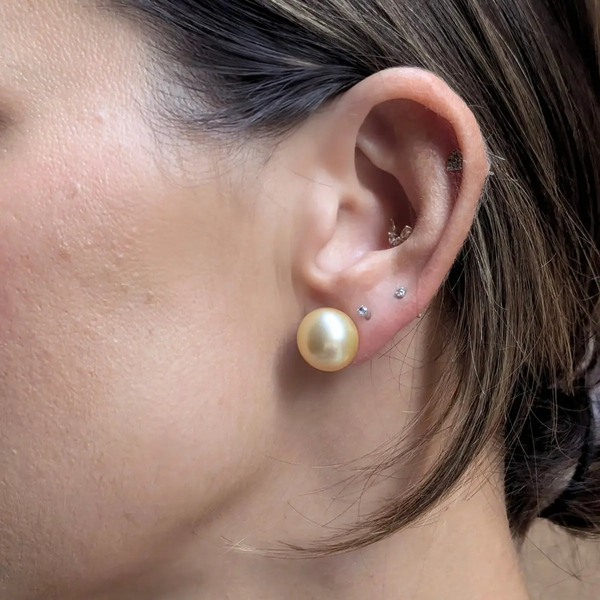 Golden South Sea Pearl Stud Earrings in 18K Gold